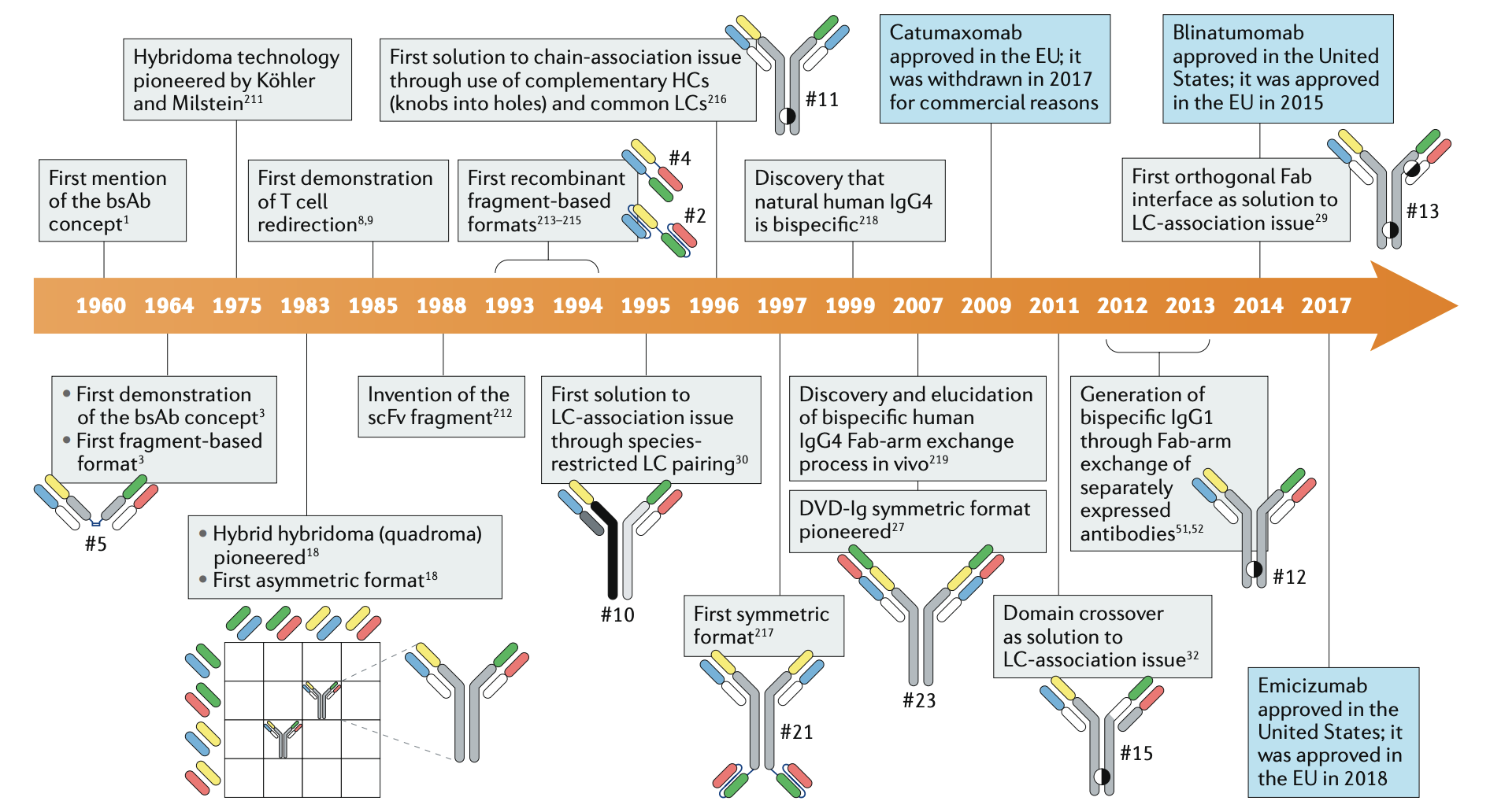 Engineered Antibody Formats: A Historical Perspective - YODO ...